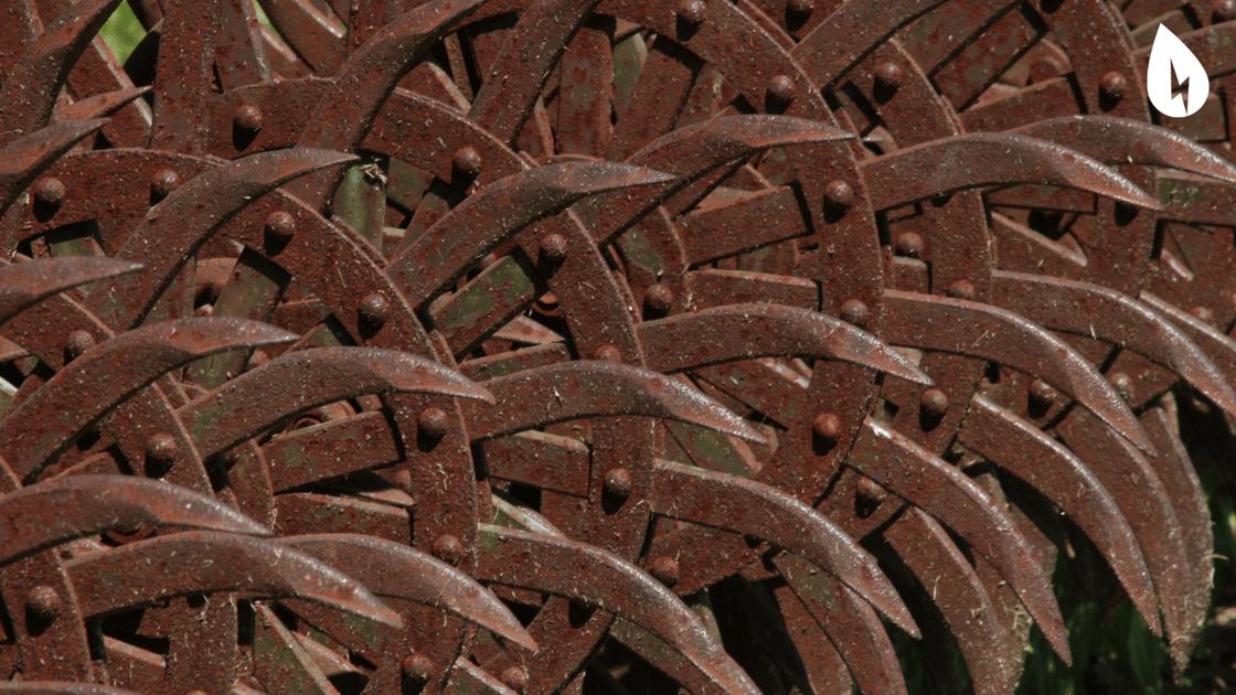 Les 3 grands types de lutte mécanique contre les adventices